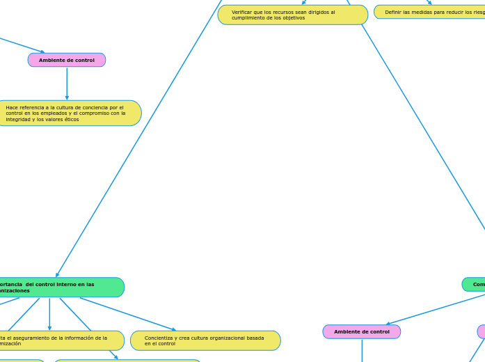 EL CONTROL INTERNO - Mind Map